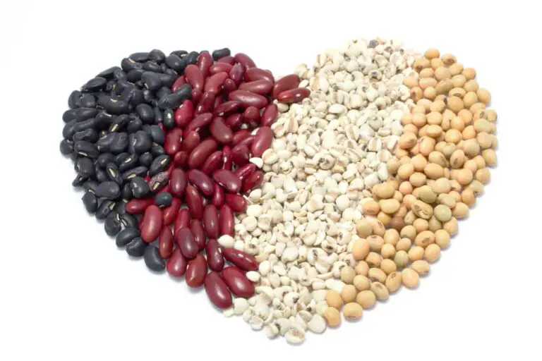 What is the Healthiest Bean? A Comprehensive Guide – Well in Truth