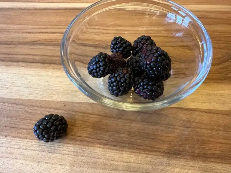 What is the Healthiest Berry? A Complete Nutritional Guide – Well in Truth